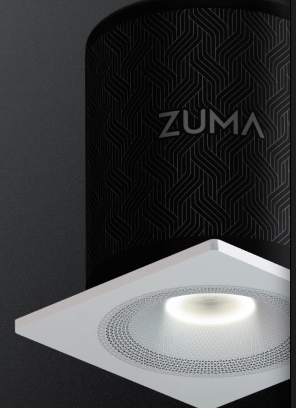 Zuma’s Lumisonic combines a loudspeaker with a ceiling light fixture ...